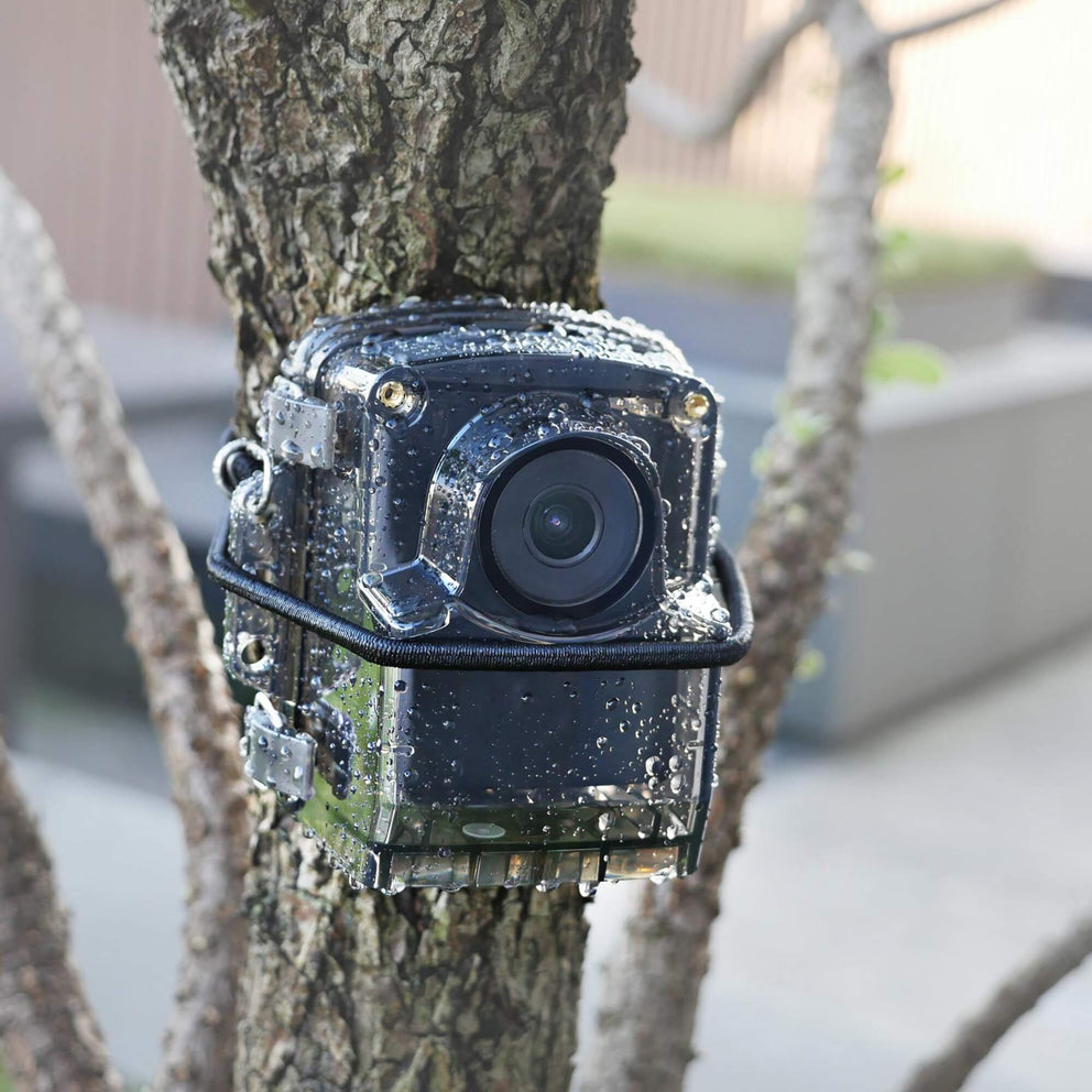 Brinno The Time Lapse Camera Specialists | Official Australian Store ...